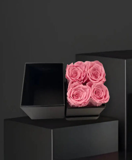 Celine – Flowers On Bay